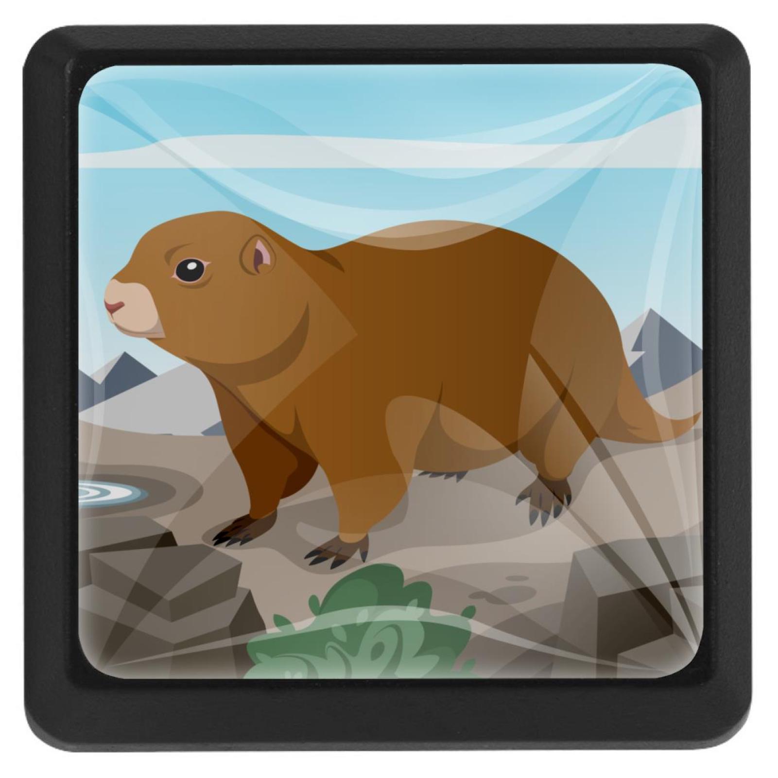 Ownta Square with Screws 3 Pcs for Cupboard Dressing Table Bookcase ...