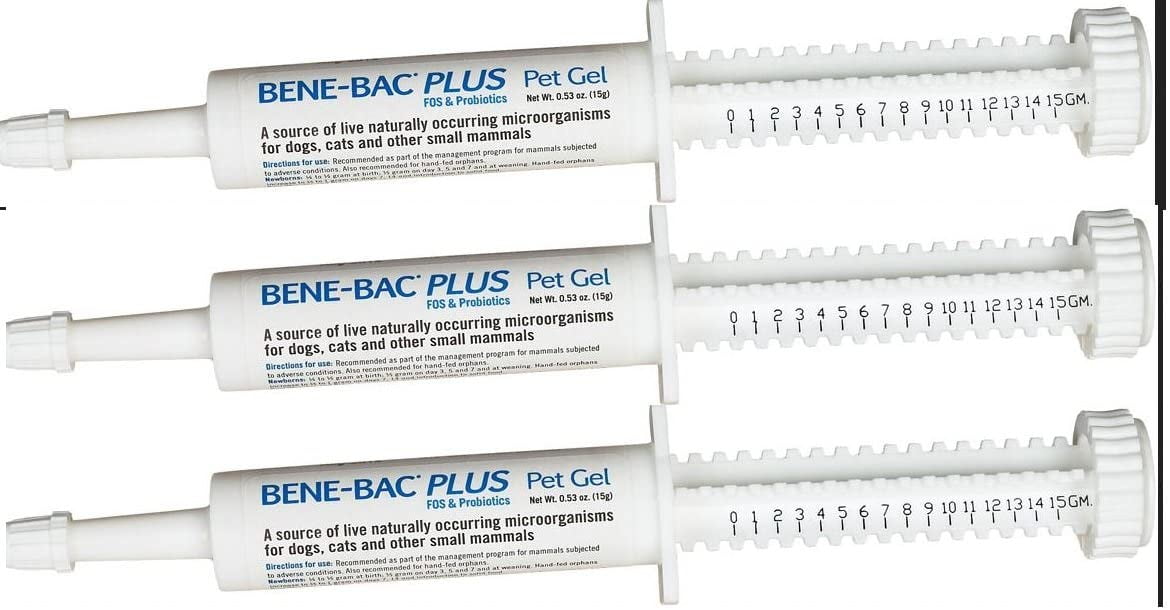 (3 Pack) Bene-Bac Plus Probiotic Pet Gel 15g Each X 3 Syringes ...