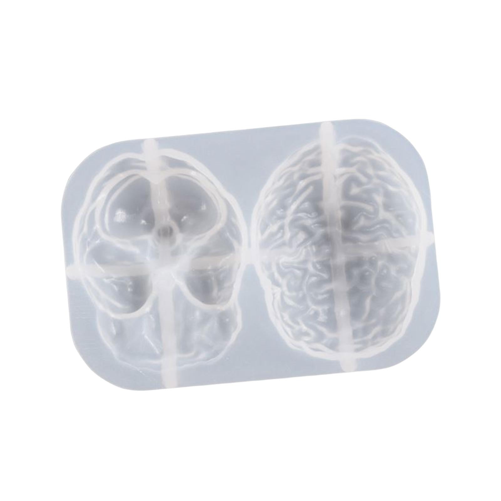 DIY Organs Fondant Model Decor Craft Ornament Tabletop Reusable ...