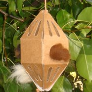 Precision Pet Products Nesting Box - Walmart.com
