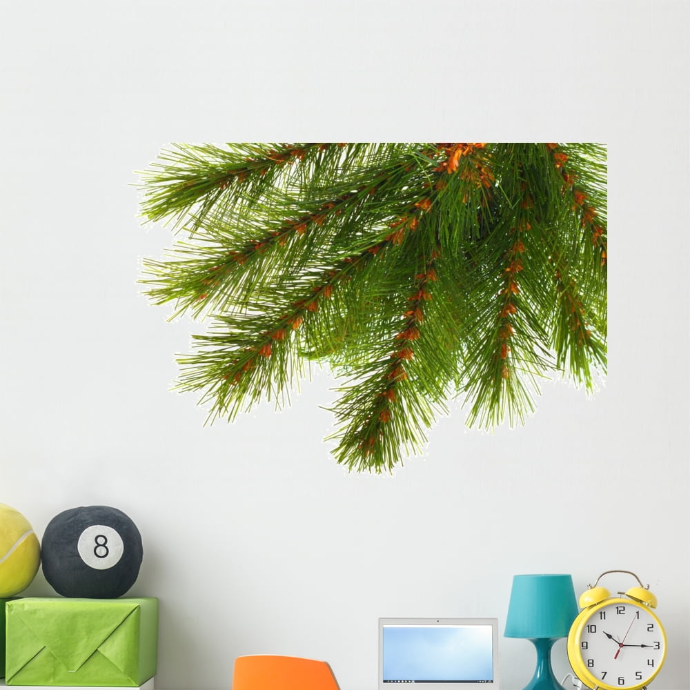 Artificial Pine Tree Branch Wall Mural Decal by Wallmonkeys Vinyl Peel ...