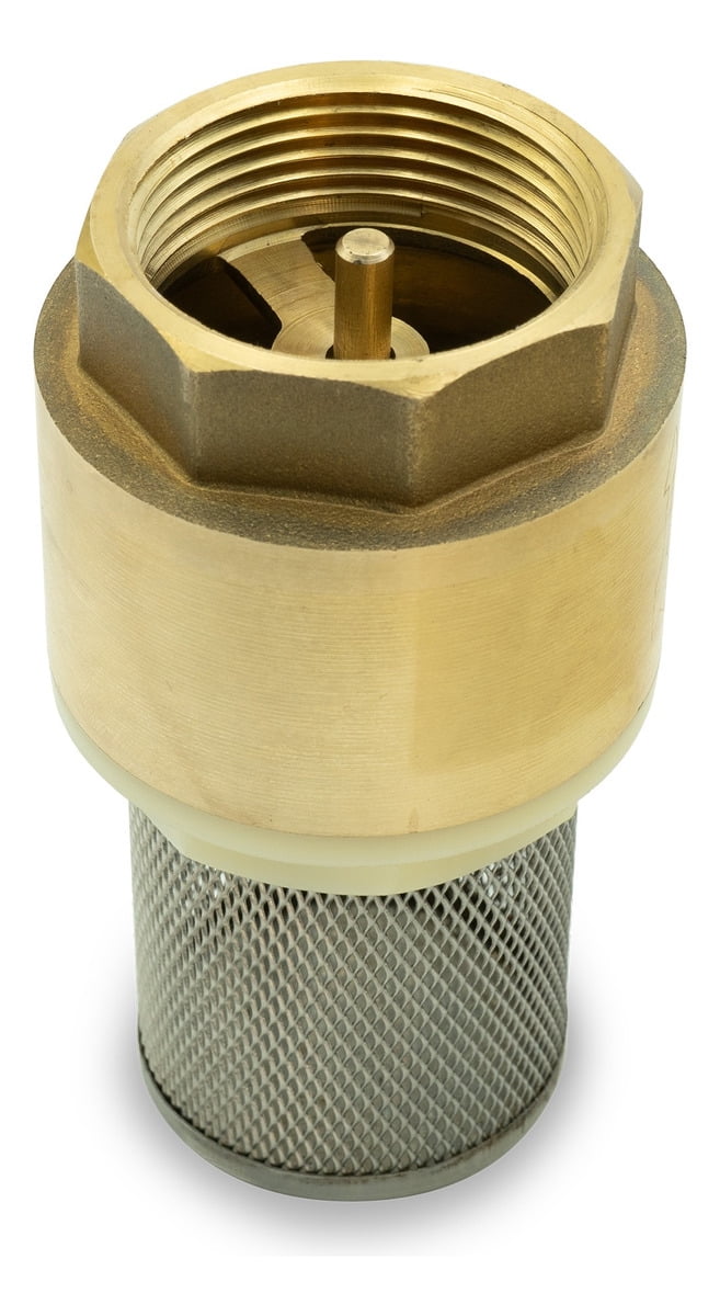 Válvula Check Anti-retorno Evans Tuberías Hasta 1 1/4 Nptvertical ...