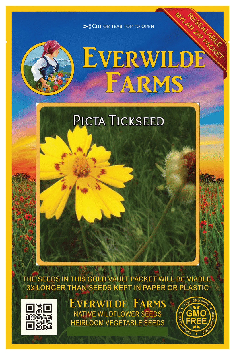 Everwilde Farms - 500 Picta Tickseed Native Wildflower Seeds - Gold ...