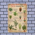 WYYP Holiday Gift Best Indoor Plants That The Air Around You Aluminum ...