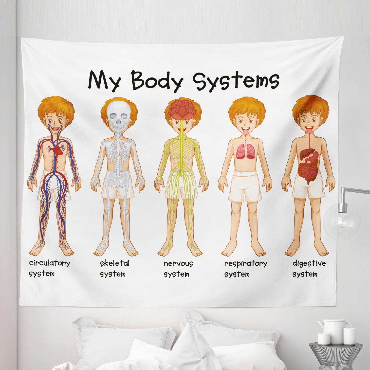 Science Tapestry, Different Systems in Human Nervous Skeletal Digestive ...