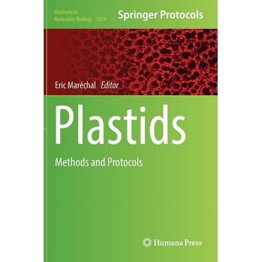 Methods in Molecular Biology: Patch-Clamp Methods and Protocols ...