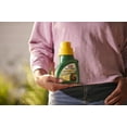 Ortho Tree & Shrub Fruit Tree Spray, 16 oz. - Walmart.com