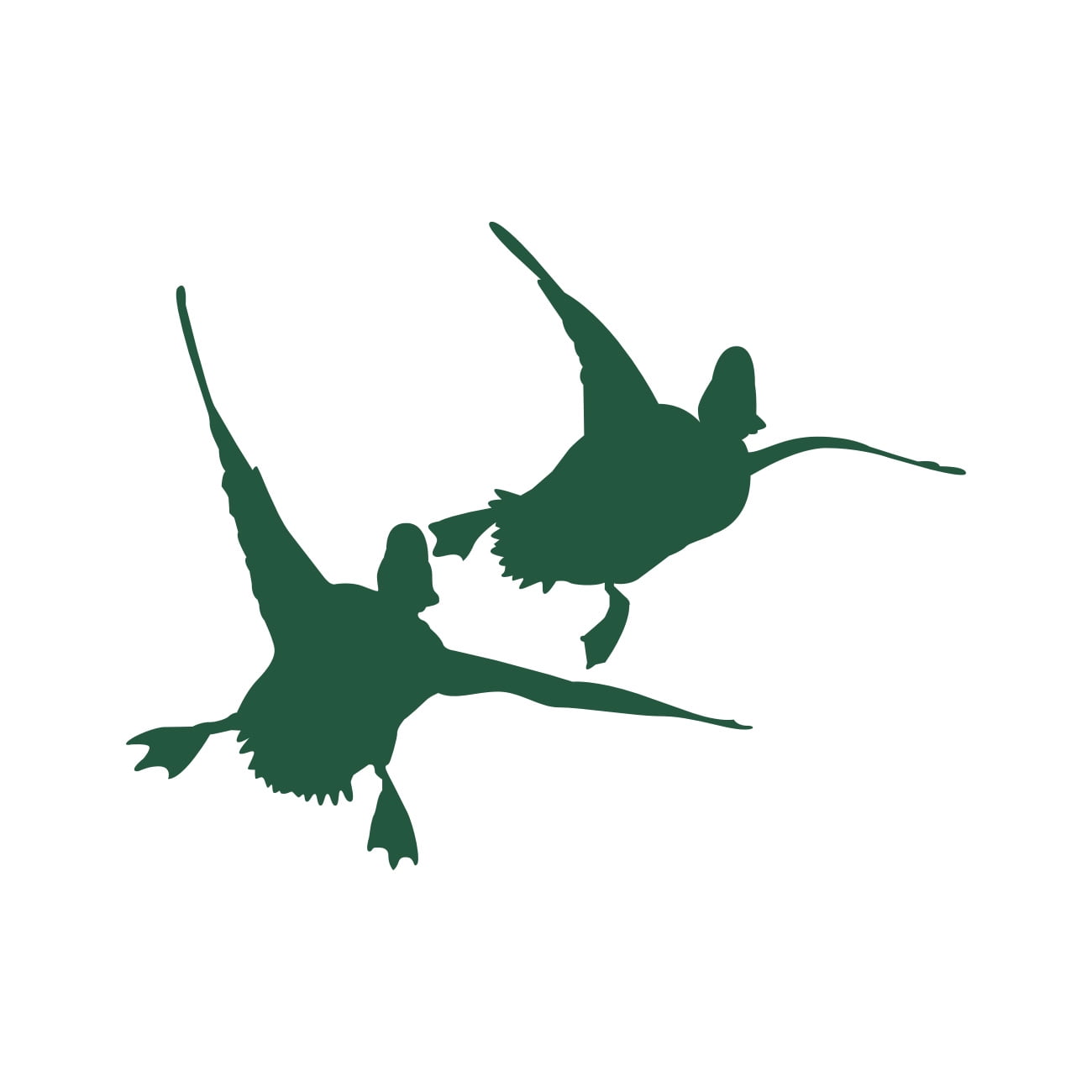 Ducks Sticker Decal Die Cut - Self Adhesive Vinyl - Weatherproof - Made ...