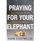 Praying for Your Elephant : Boldly Approaching Jesus with Radical and ...
