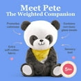 Lilly's Love Pete the Panda, 5lb Weighted Stuffed Animal for Anxiety ...