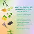 MOXE Nasal Sticks 8 Set - Essential Oils Aromatherapy for Sinus ...