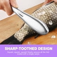 4 Piece Fish Scaler Set with Stainless Steel Descaler Tool Sawtooth ...