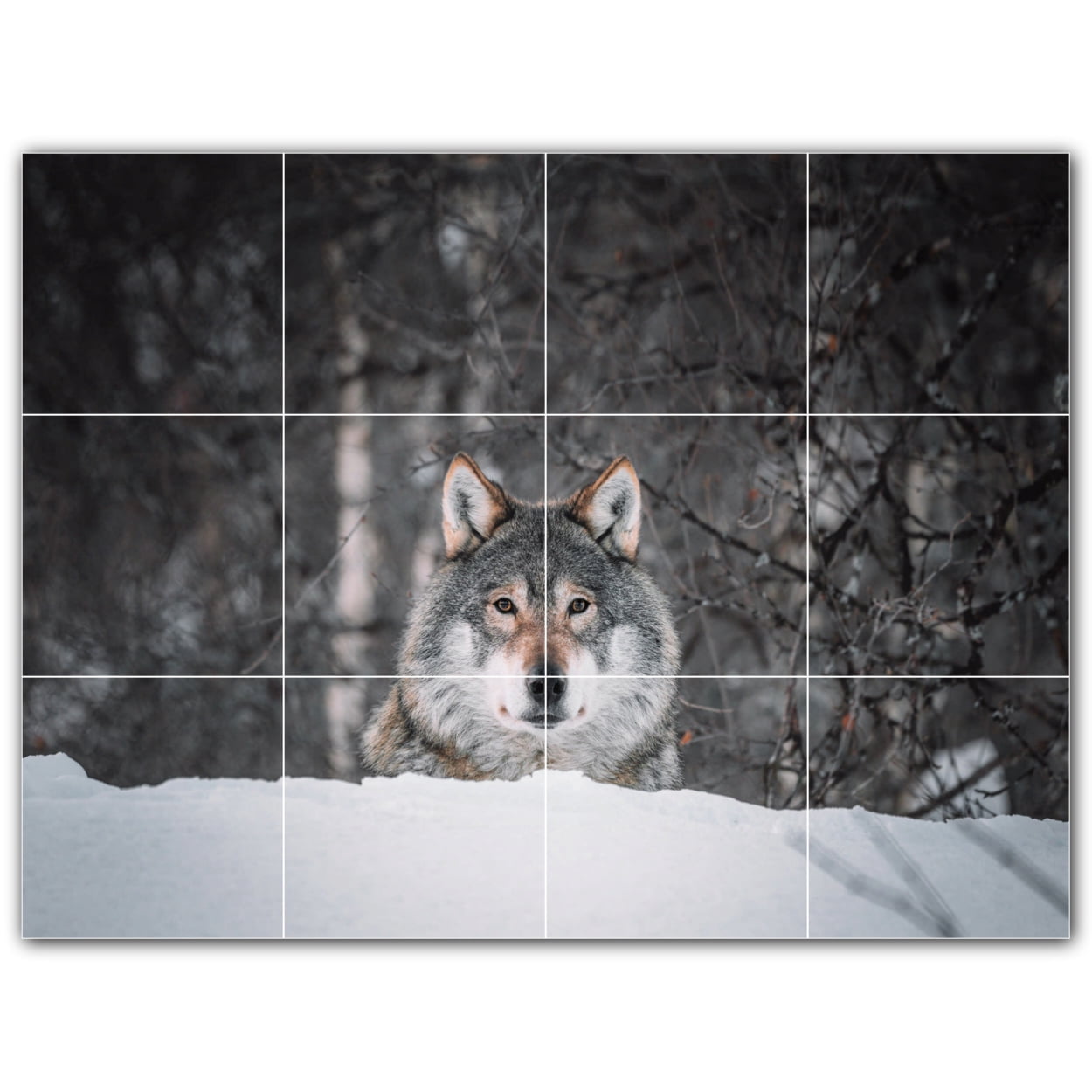 Picture-Tiles.com: Wolf Ceramic Tile Wall Mural WAL501232-43M. 24"W x ...
