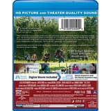The Stray (Blu-ray + DVD + Digital) - Walmart.com