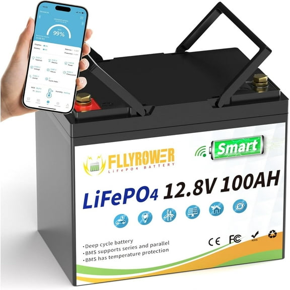 KEPWORTH 12V 100Ah LiFePO4 Battery, 100A BMS, Rechargeable, For RV ...