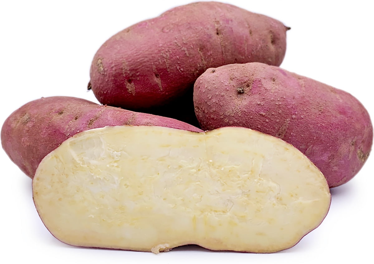 Red Japanese Sweet Potato Slips - Ipomoea batatas - 2 Slips - Walmart.com