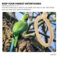 BESTYASH Beige Wooden Bird Swing for Parakeets Parrots and Pet Birds ...