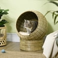 PawHut Elevated Cat Bed W/ Cat Egg Chair Shape, Raised Wicker Cat Bed ...