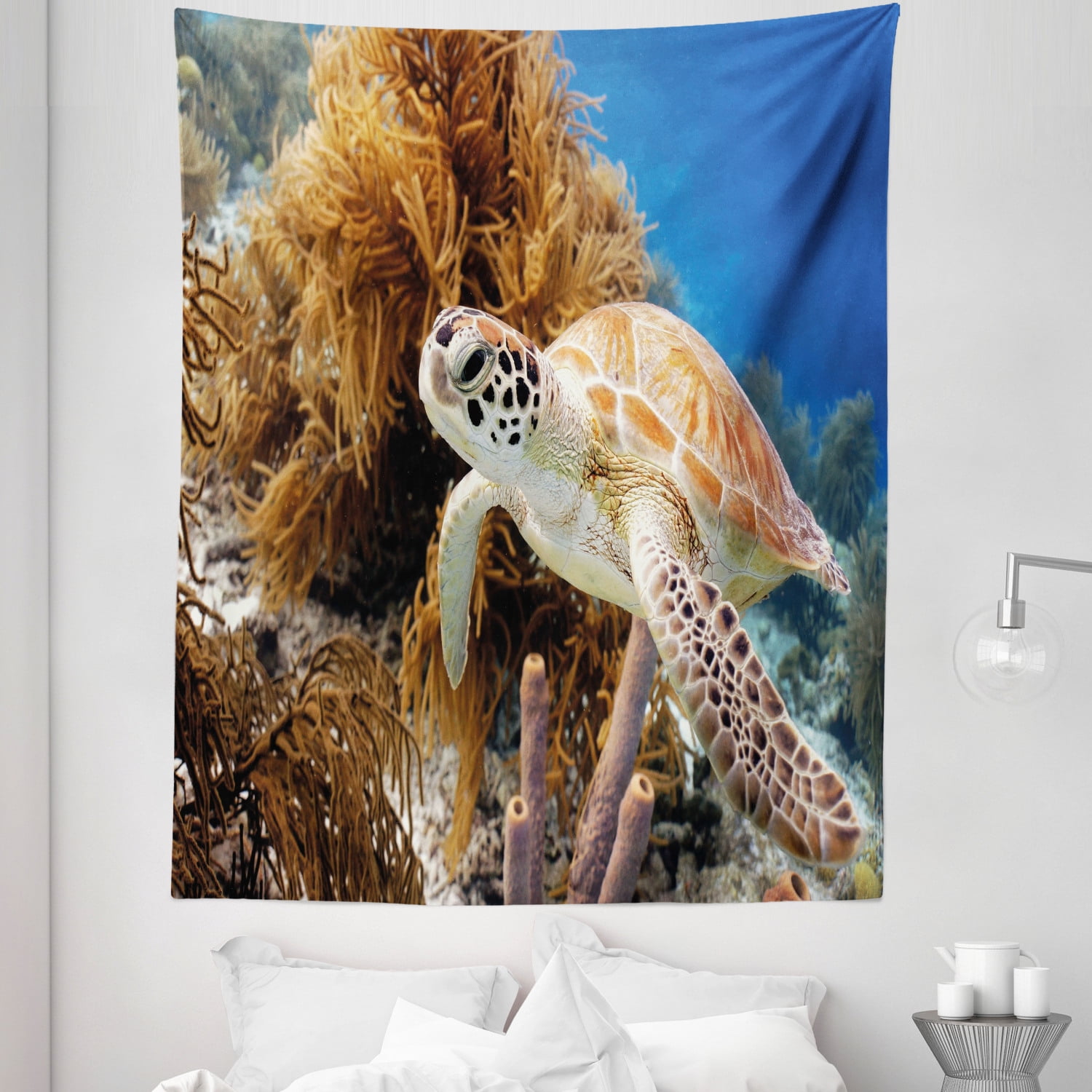 Turtle Tapestry, Coral Reef and Sea Turtle Close up Photo Bonaire ...