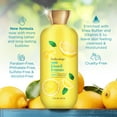 Bodycology 2 in 1 Body Wash & Bubble Bath, Sun Kissed Lemons, 16 fl oz ...