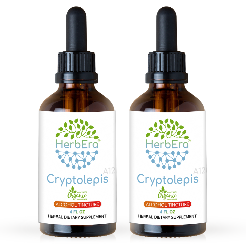 Cryptolepis Alcohol Herbal Extract Tincture, Super-Concentrated ...