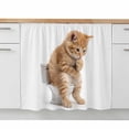 Cat Sitting on The Toilet Thinking Cabinet Curtains 11" W x 13" L ...