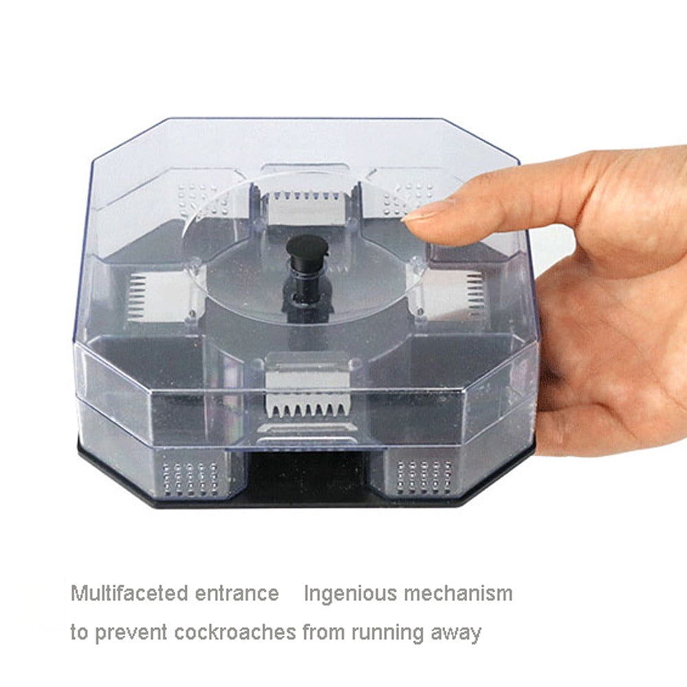 Buy PoypyozzZ New Automatic Cockroach House Insects Bugs Capture Bait ... Buy PoypyozzZ New Automatic Cockroach House Insects Bugs Capture Bait ...