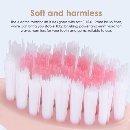 Electric Toothbrush Ultrasonic Timer Six Vibration Modes USB cleaning ...