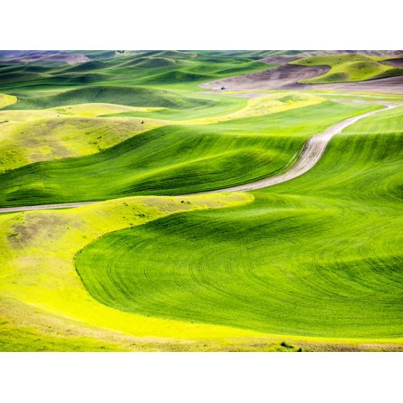 Aerial view of Palouse Region Poster Print by Terry Eggers (18 x 24 ...