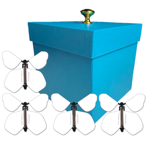 Flying Butterfly Gift Box