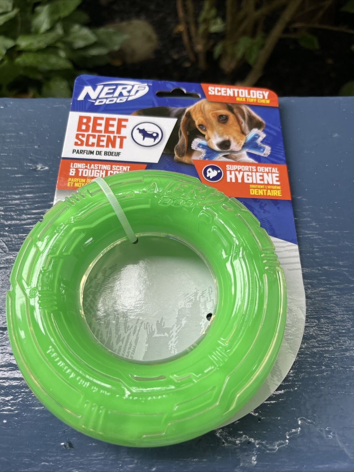 Nerf Dog - Scentology Max Tuff Chew - Beef Scent- Interactive Dog Toy ...