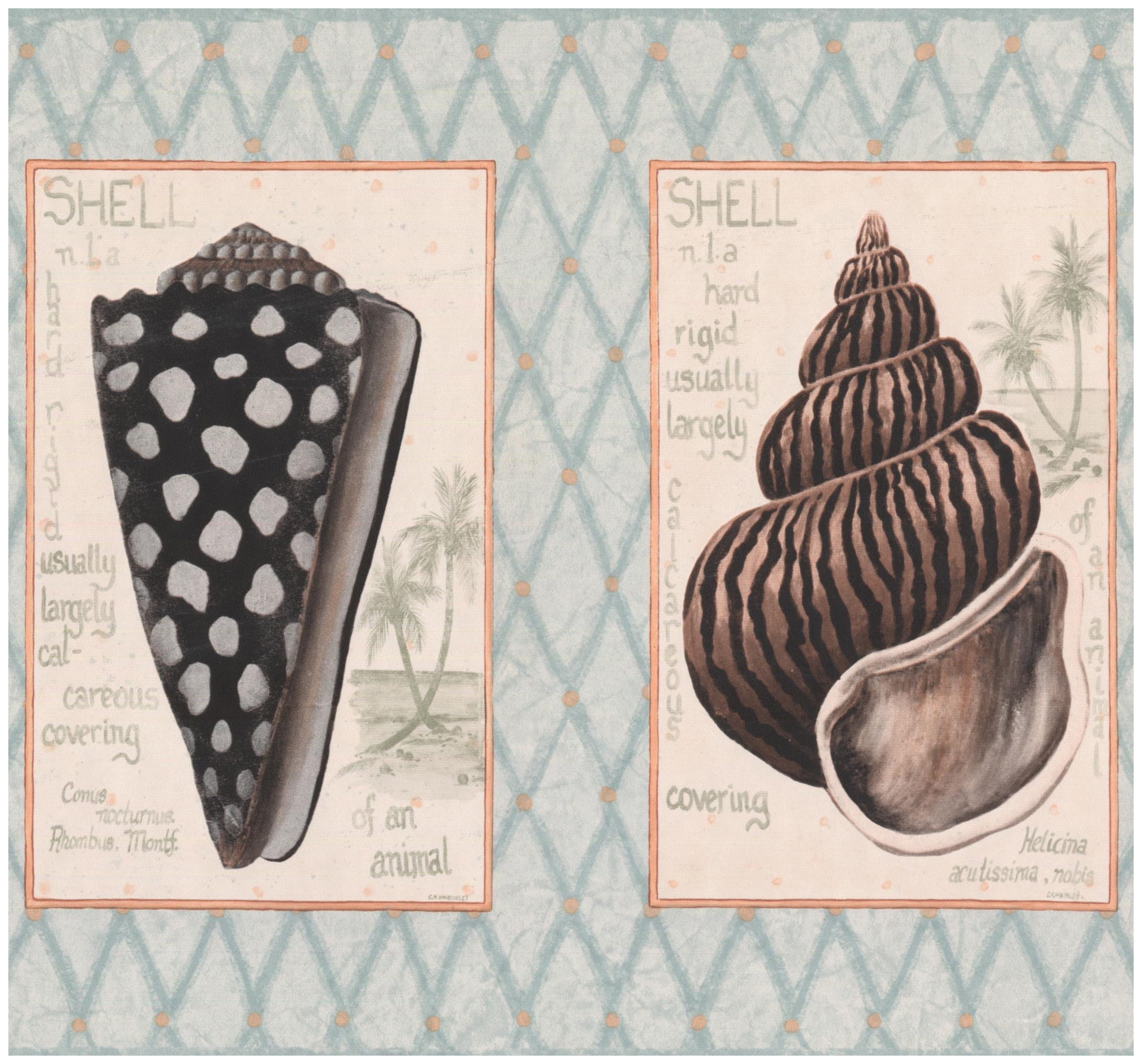 Wall Border - Seashells in Squares Nautical Wallpaper Border Retro ...