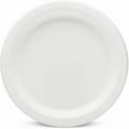 AJM 9" Dinnerware Paper Plates - Disposable - 9" Diameter - White ...