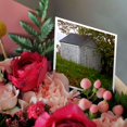 3drose, Canada, Nova Scotia, Guysborough. a Shed in a Field of ...