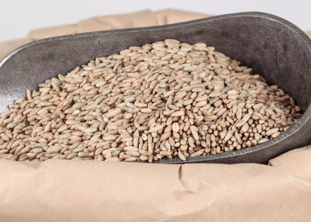 Rye Kernels - Walmart.com