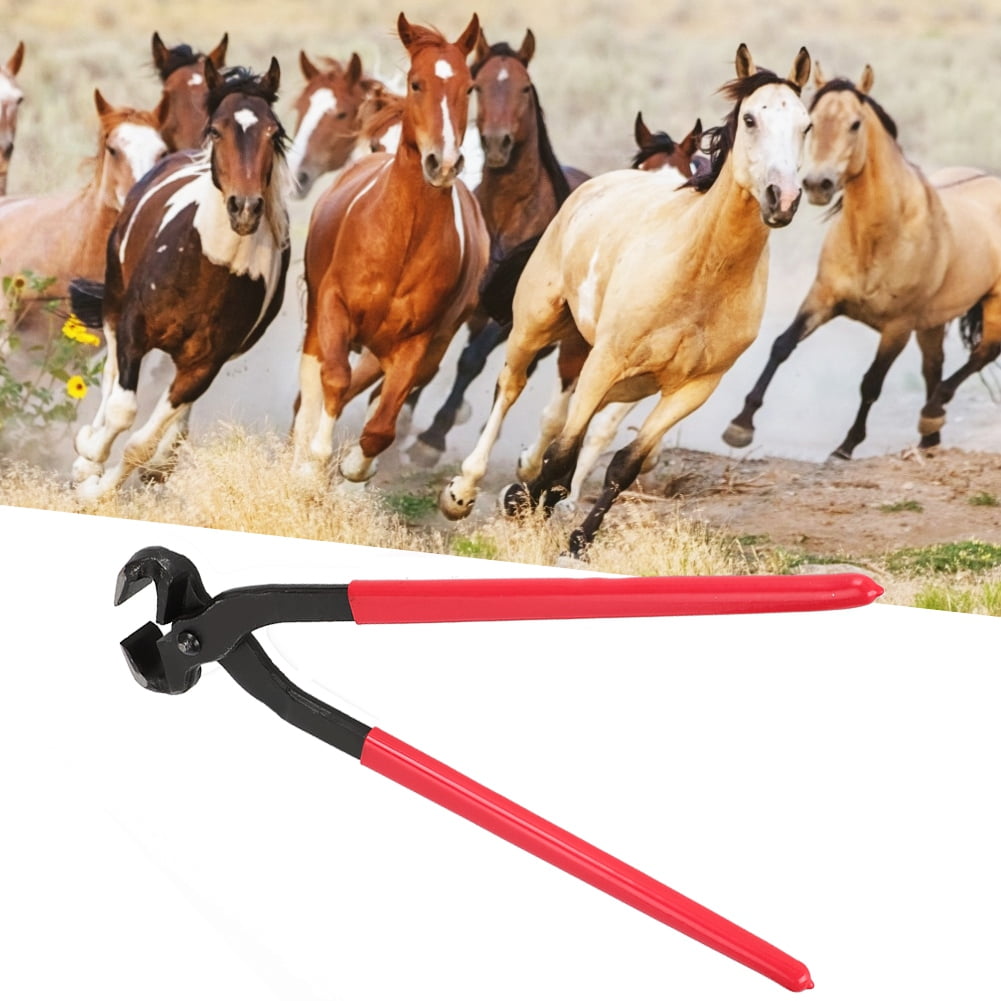 Herramienta Para Herrar Pezuñas Herramienta Para Herrar Caballos Para ...