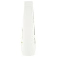Matrix Biolage Frizz Control & Humidity Resistant Smooth-proof Daily ...