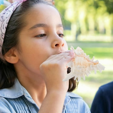 Solid Brass/Copper Boatswain (Bosun) Whistle with Wooden Box, 5", Brass ...