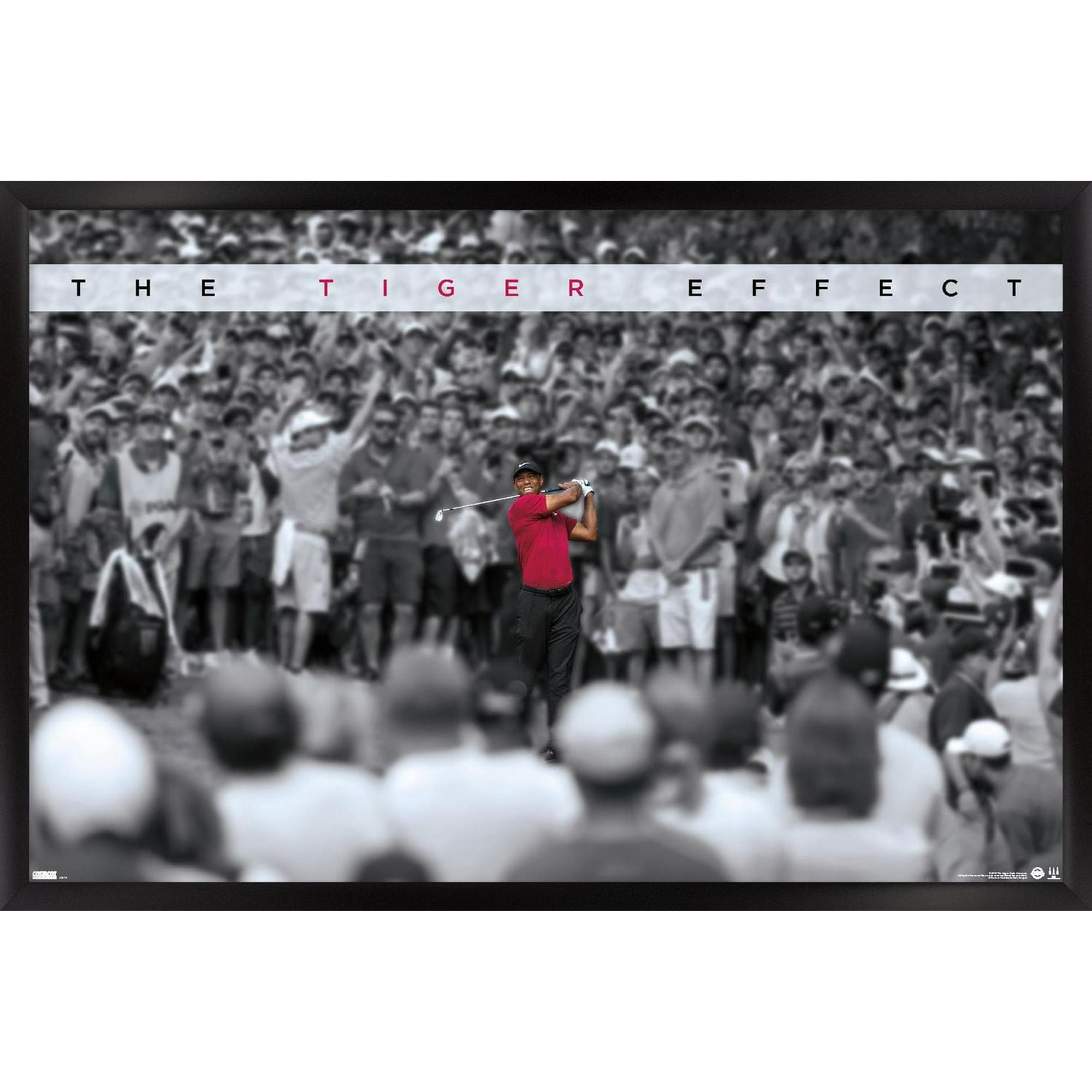 Click here for Trends International Tiger Woods - The Tiger Effec... prices