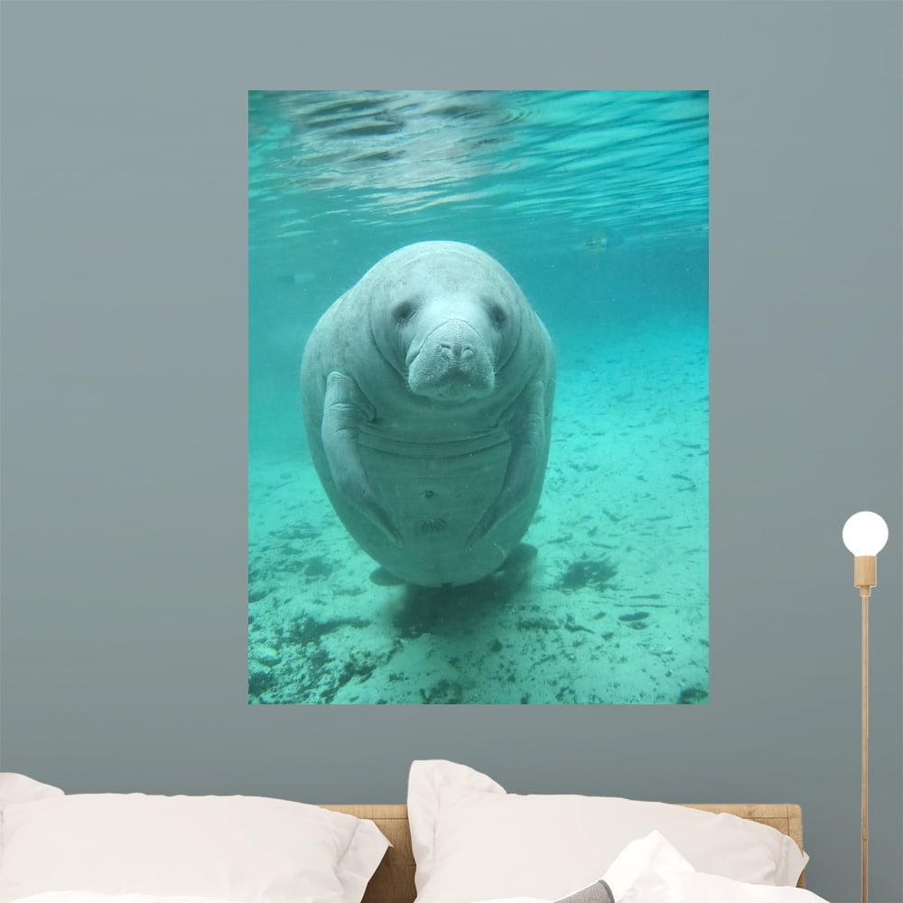 Manatee Wall Mural Decal Sticker, Wallmonkeys Peel & Stick Vinyl ...