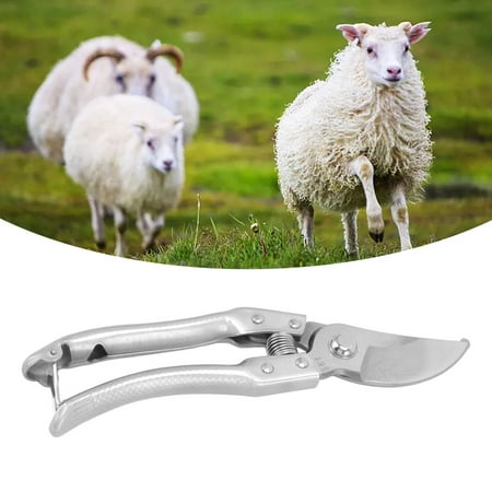 Goat Hoof Trimmers, Shears Nail Clippers For Sheep, Pig Trotter Shears ...