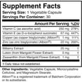 Free Shipping! Visigard Natural Eye and Vision Supplement, 30 Capsules ...