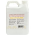 Pro Gold Products ProLink Chain Lube, 32oz Bottle - Walmart.com