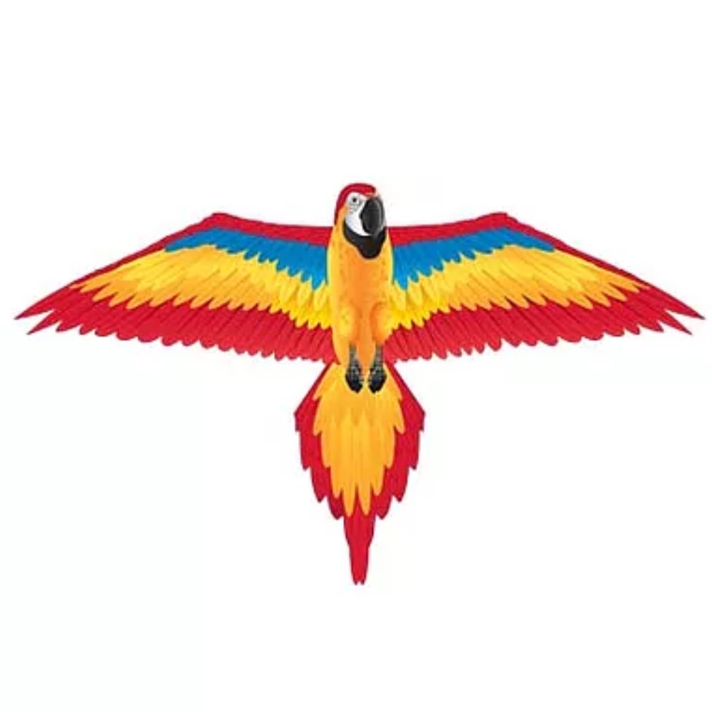 X-Kites WindZone 2D Nylon Kite - Ready to Fly (Mccaw - 70" Wide ...