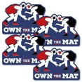 Big Dot of Happiness Own The Mat - Wrestling - Decorations DIY Birthday ...