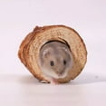 Hamster Solid Wood Pipe Guinea Pig Tunnel Toy Products for Small Animals Wooden Playset Rat Chew ...