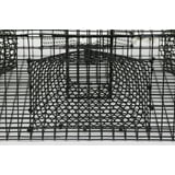 Free Shipping! Promar Traditional Heavy Duty Shrimp Trap - Walmart.com