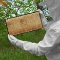 10 Pack 9" Black Plastic Beeswax Coated Bee Frame and Foundation Body ...