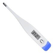 Rectal Thermometer - Walmart.com