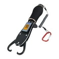 Axioma Fish Grabber Clip with Electronic Scale Fish Control Tackle ...